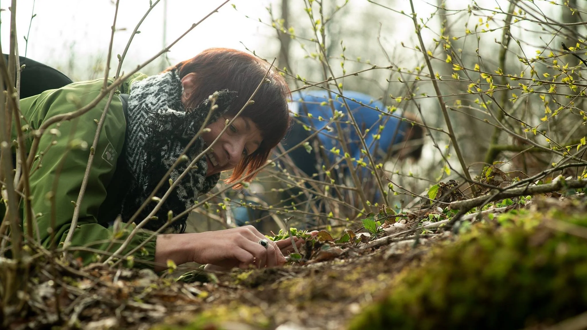 Forest To Plate Ontdek de wereld van wildplukken