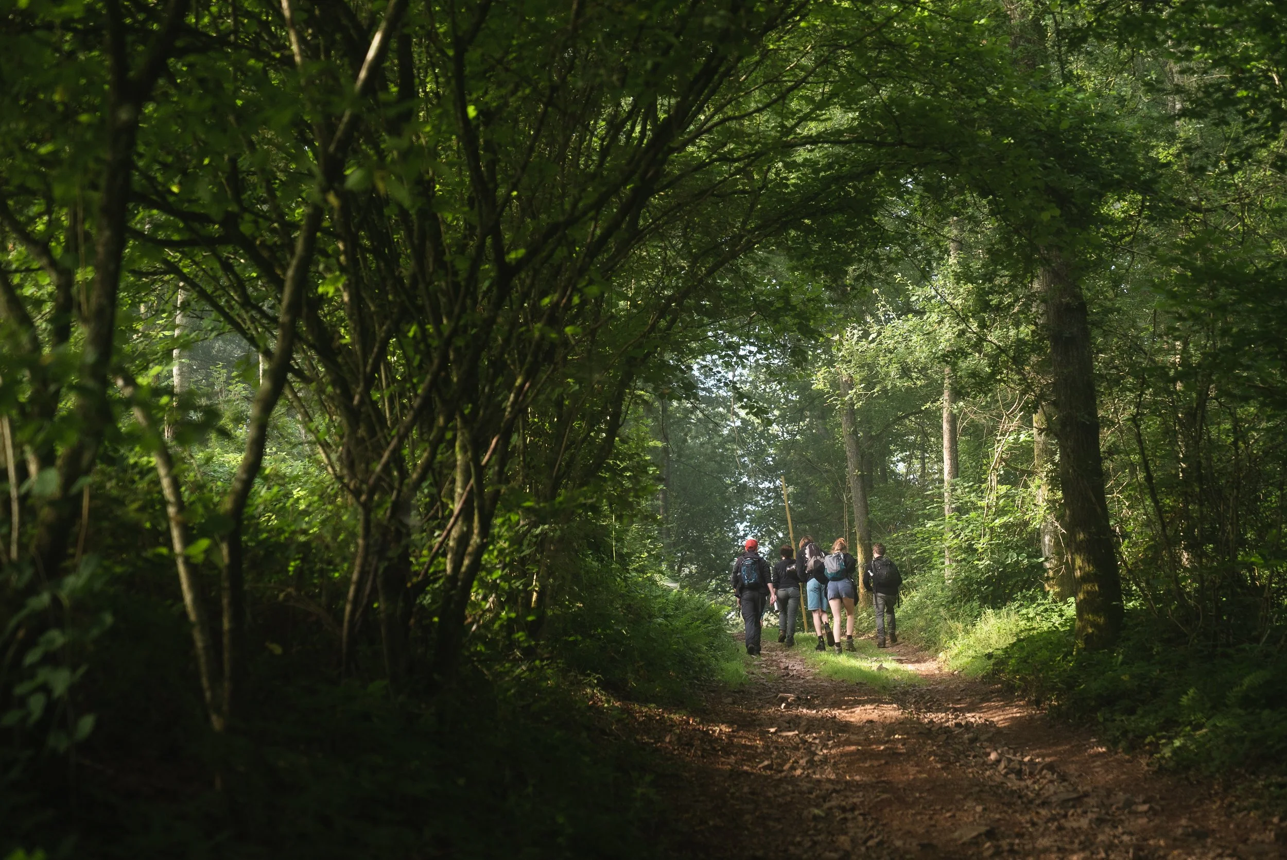 weekend start-to-hike x op wandel 7-8-9/04 (VOLZET/FULL) — Forest To Plate