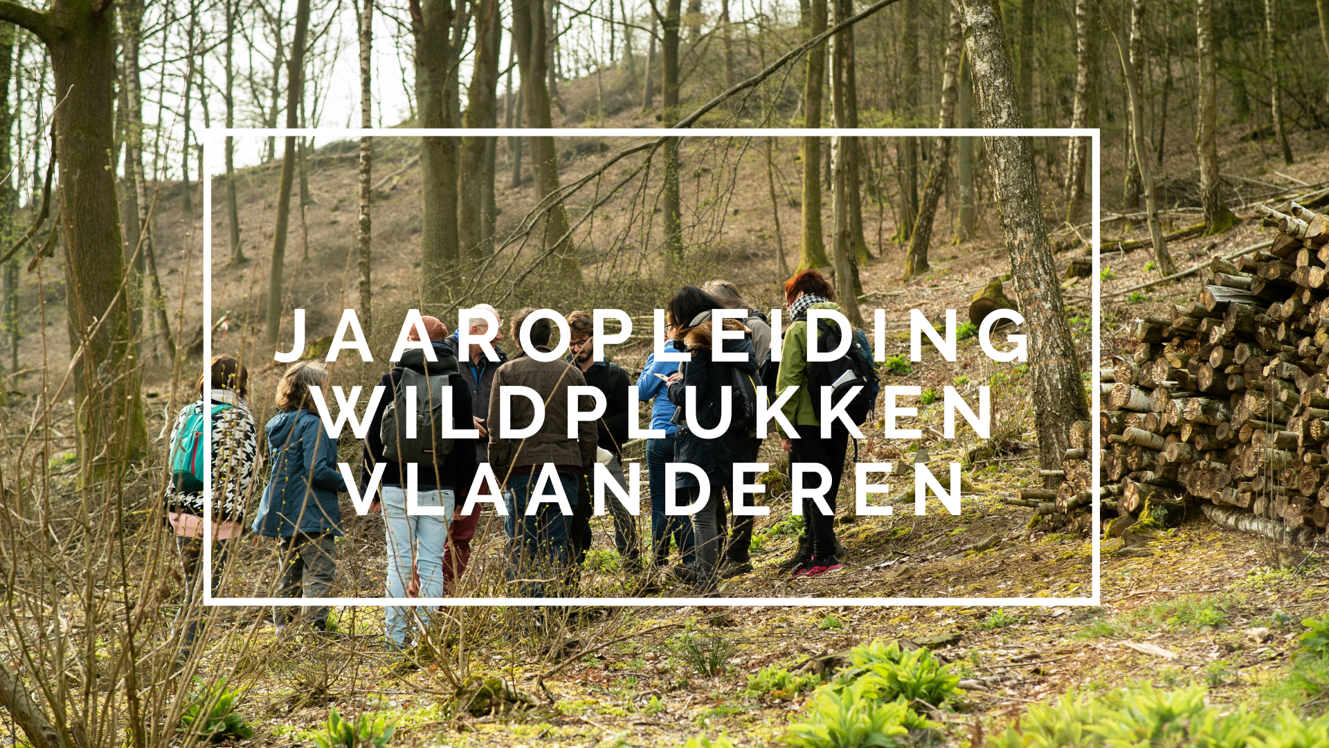 jaaropleiding wildplukken Vlaanderen 2026 (Volzet-wachtlijst) — Forest ...