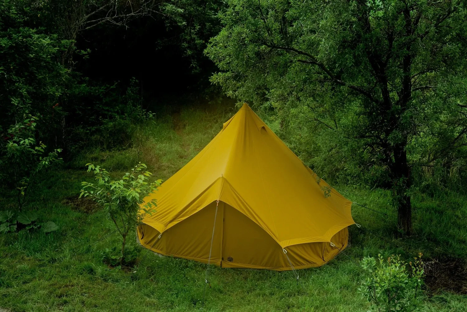 kies de tent die perfect bij je past! — Forest To Plate