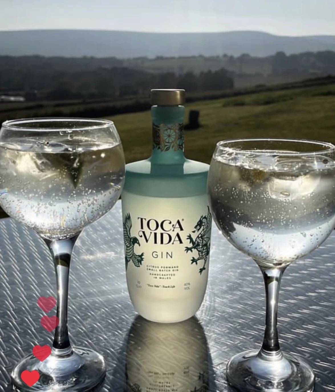 Shop All — Toca Vida Gin