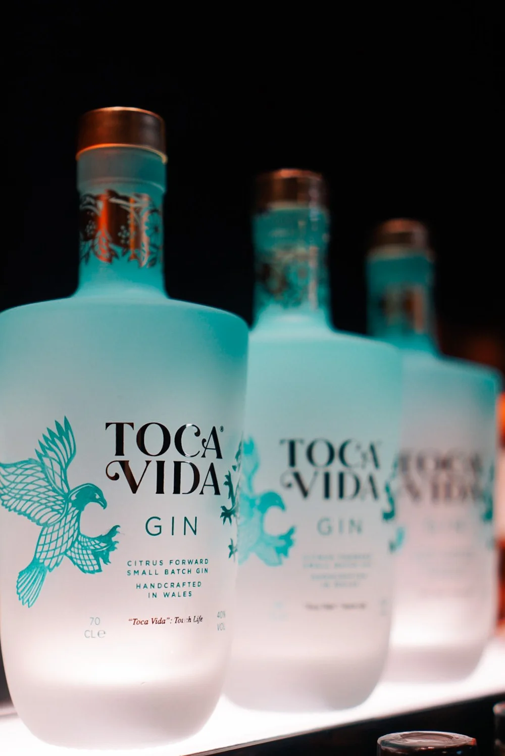 Shop Toca Vida Gin — Toca Vida Gin
