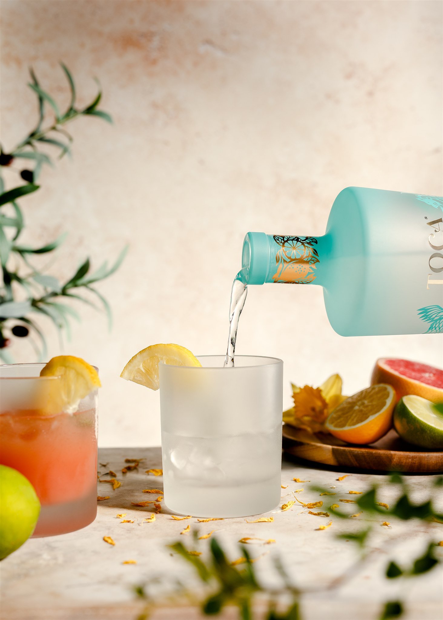 Shop — Toca Vida Gin