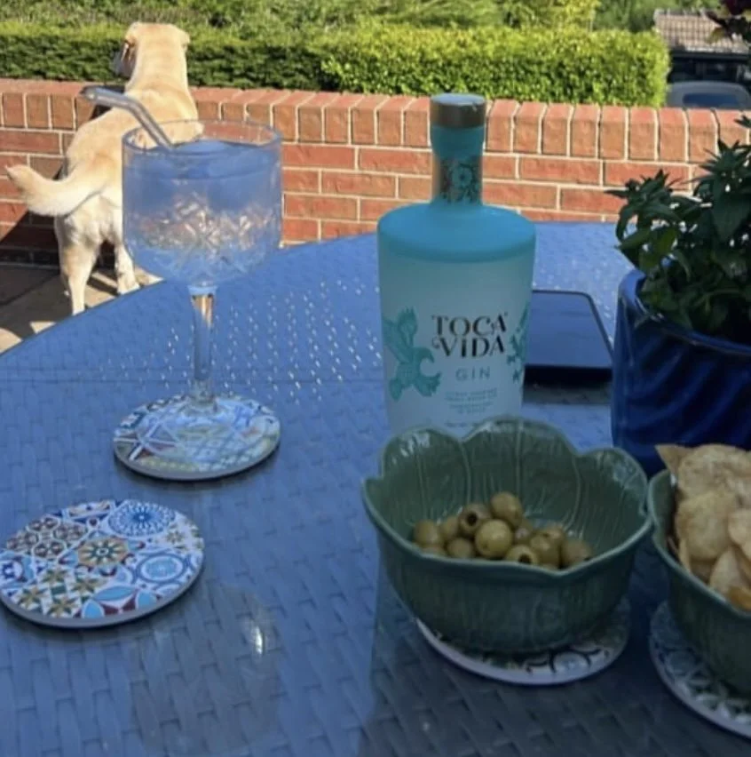 Shop All — Toca Vida Gin