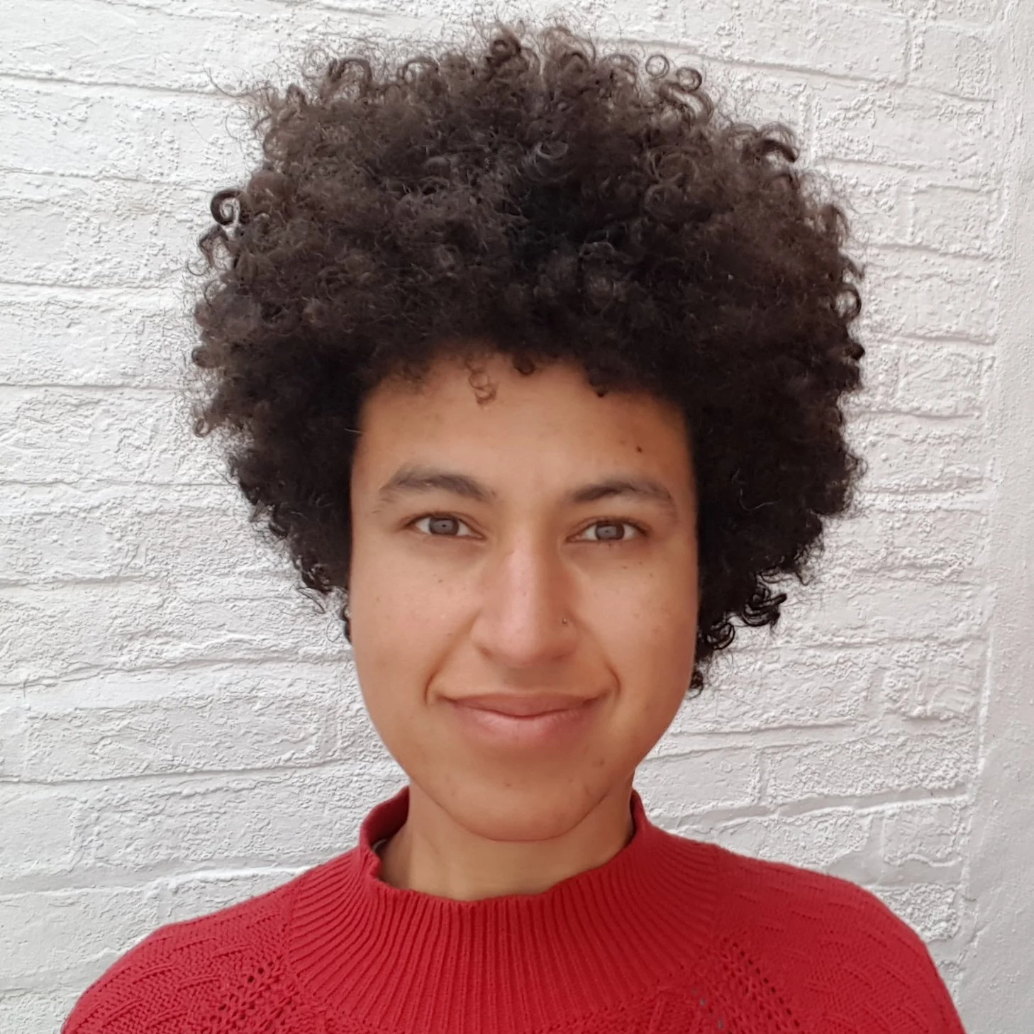 Meet the Directors — Lifesize