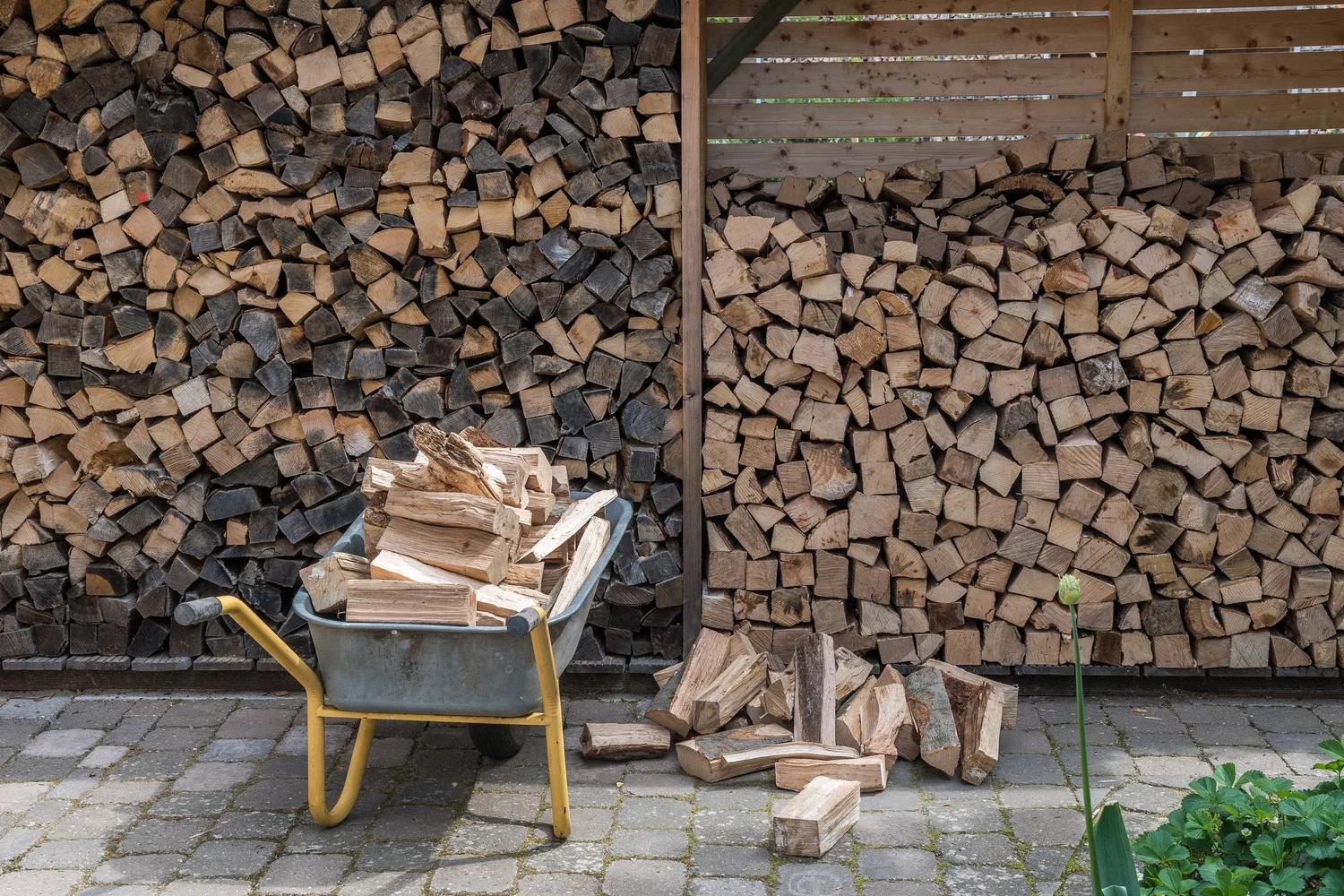 Pickup or Delivery | Order Premium Firewood - Fast & Reliable — Firewood