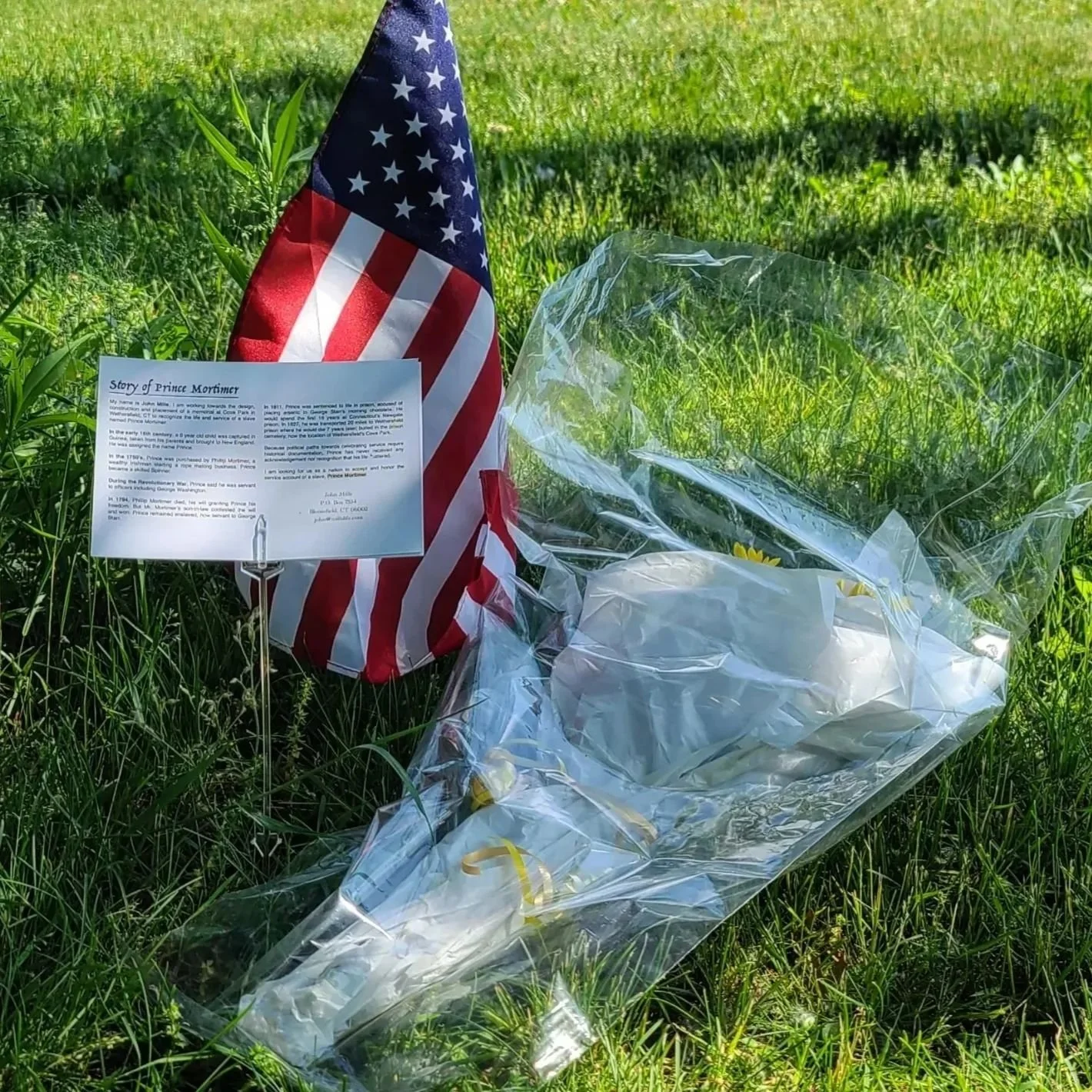 Prince Mortimer — AlexBreanne.org