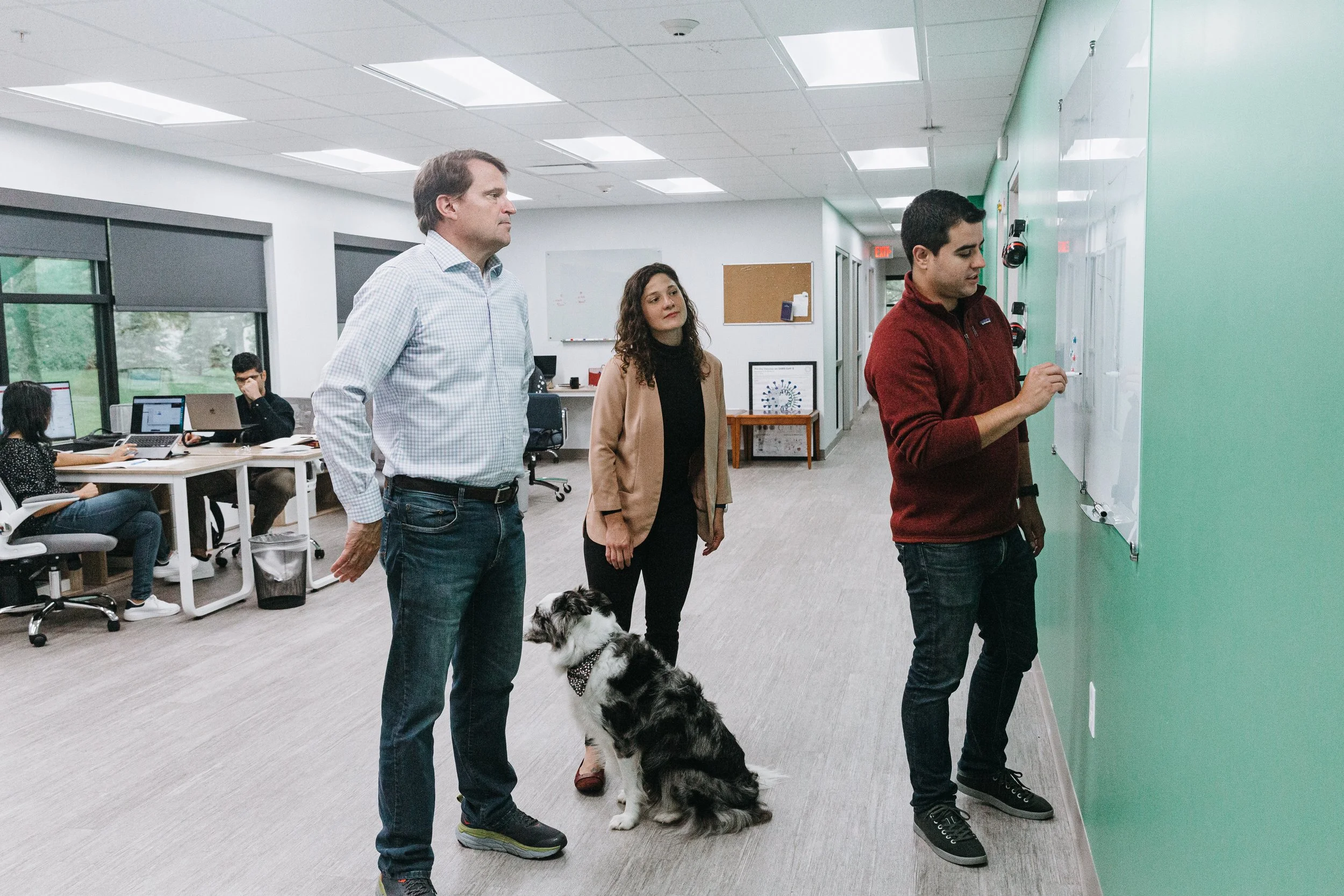 ABOUT US — Ecolectro