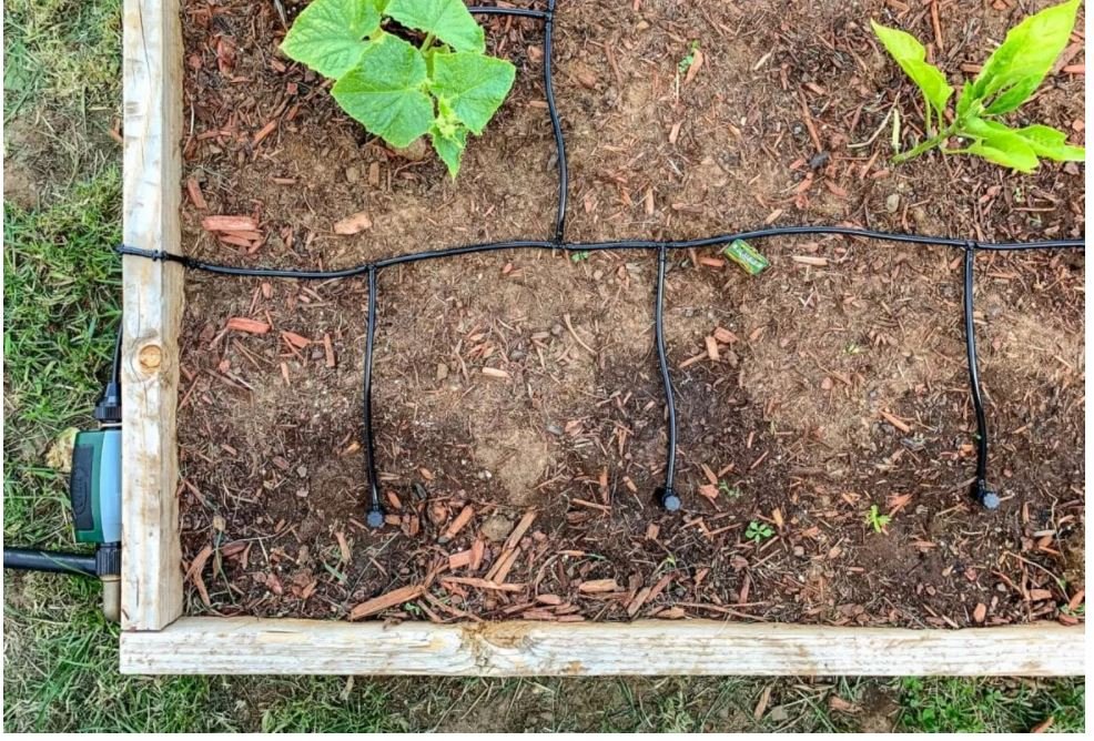 Climate Appropriate Plantings — Land Resilience Partnership