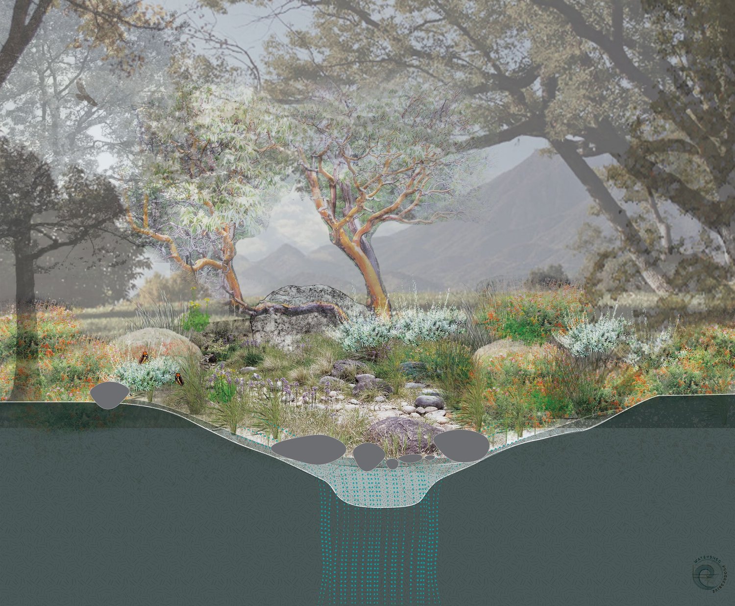 Climate Appropriate Plantings — Land Resilience Partnership