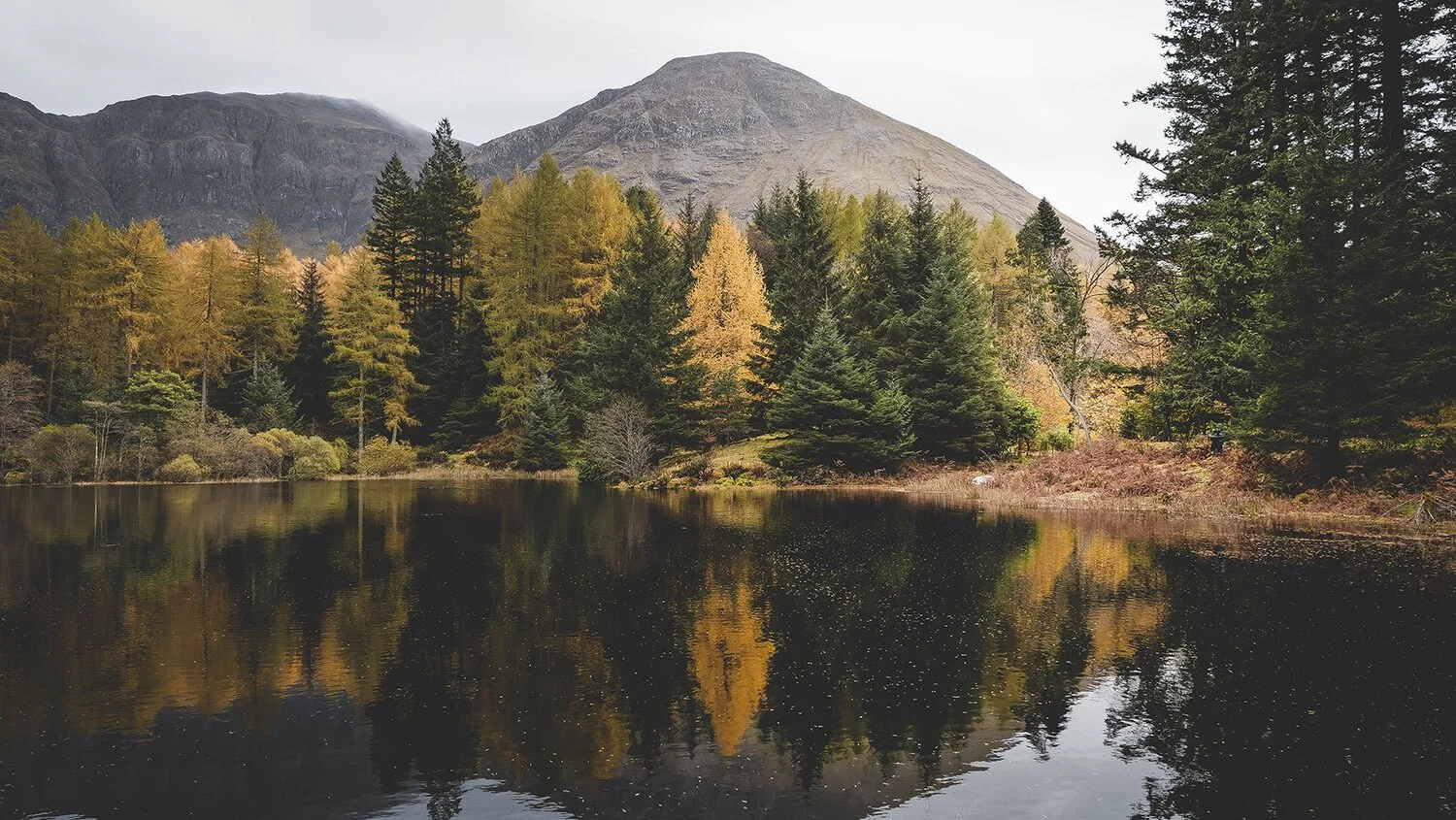 Jackson Moyles: Reflection — Public Offerings Ltd.