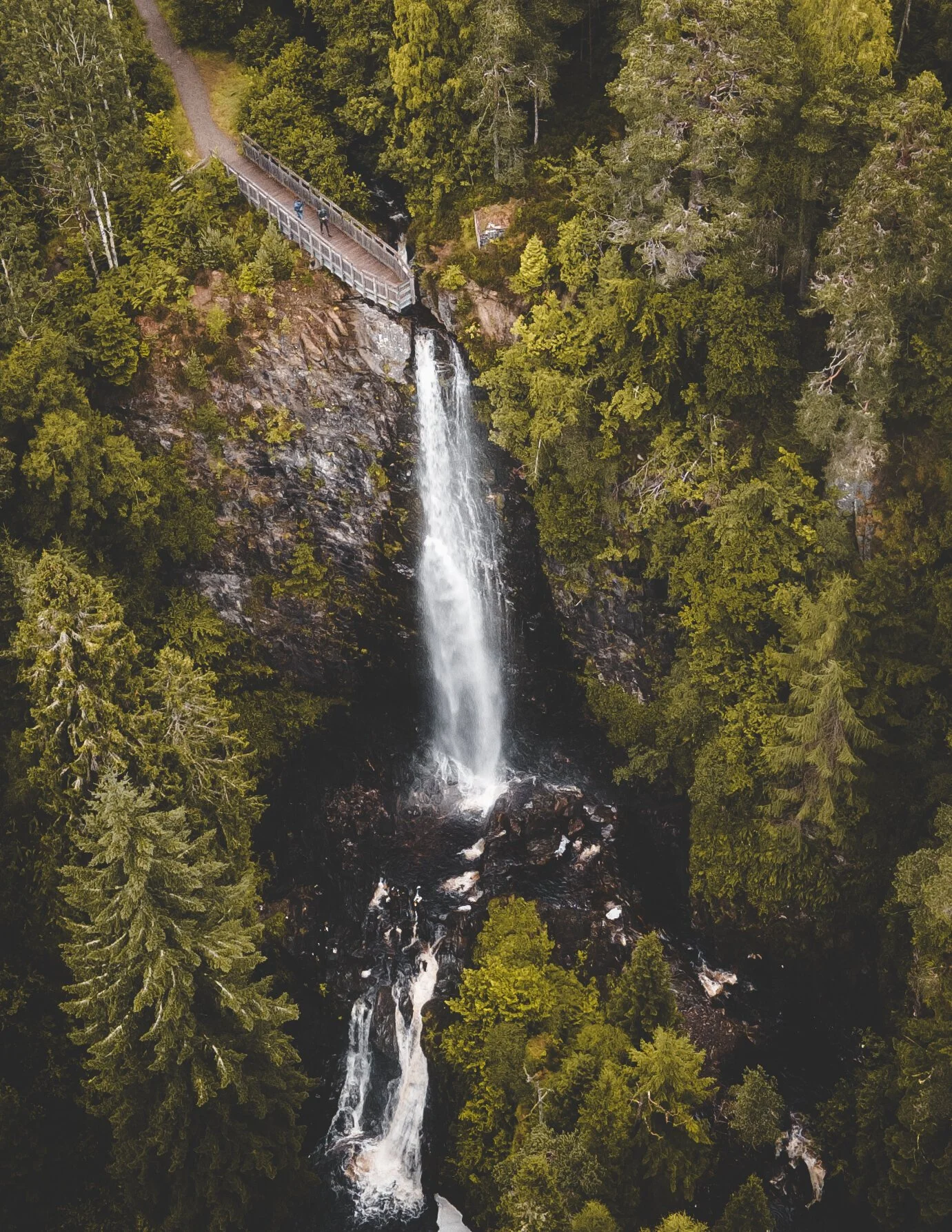 Jackson Moyles: Reflection — Public Offerings Ltd.