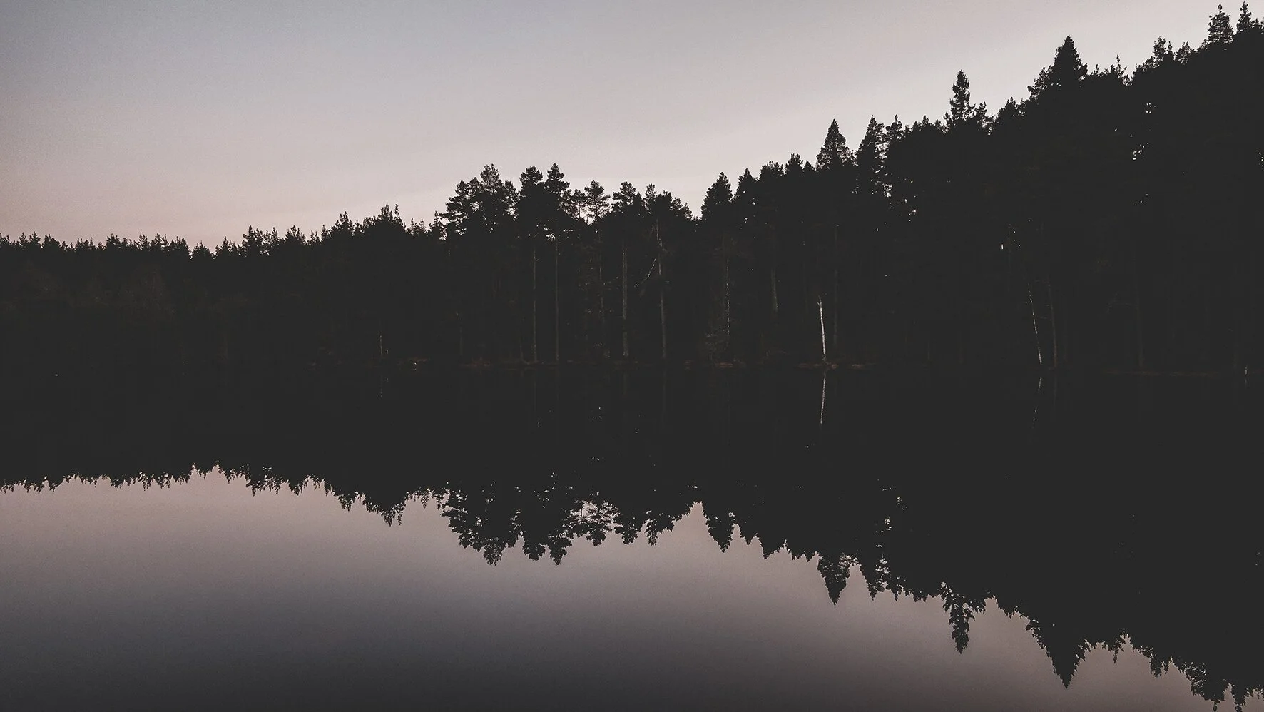 Jackson Moyles: Reflection — Public Offerings Ltd.