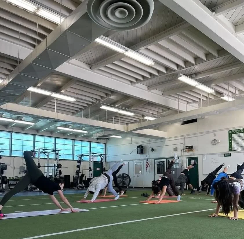 STRESS RELIEVER: Wellness Week brings dance, yoga & pups to campus ...