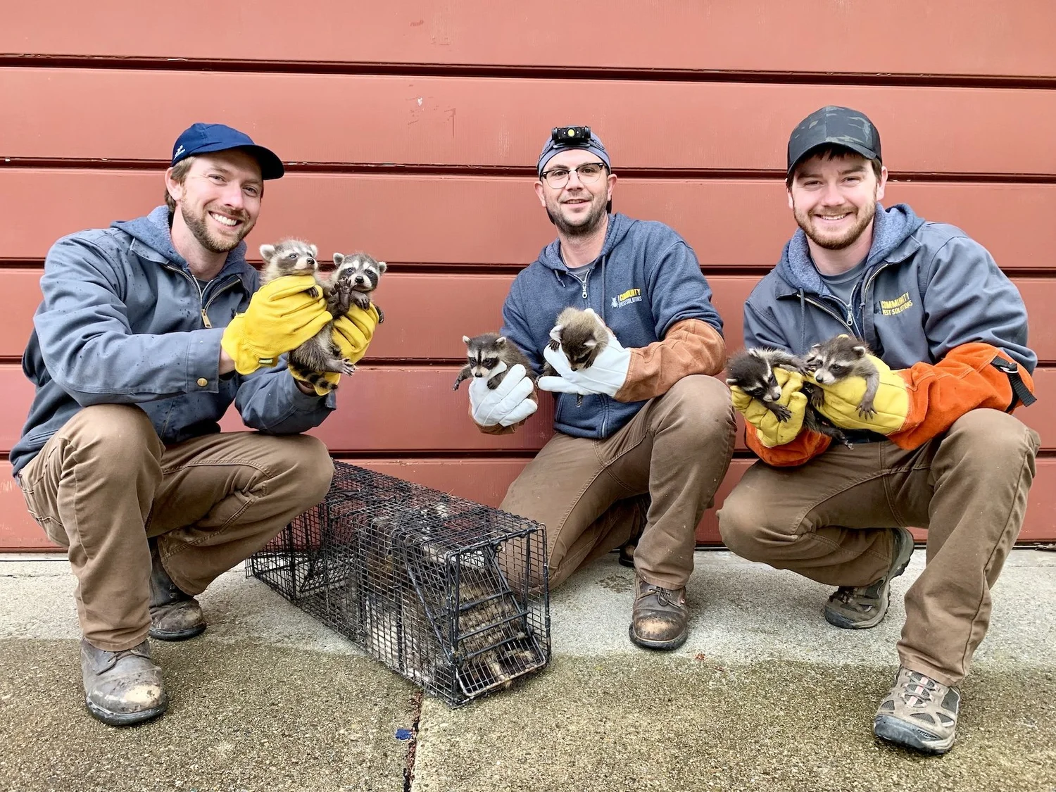 Interesting Info About Rodent Control Ann Arbor