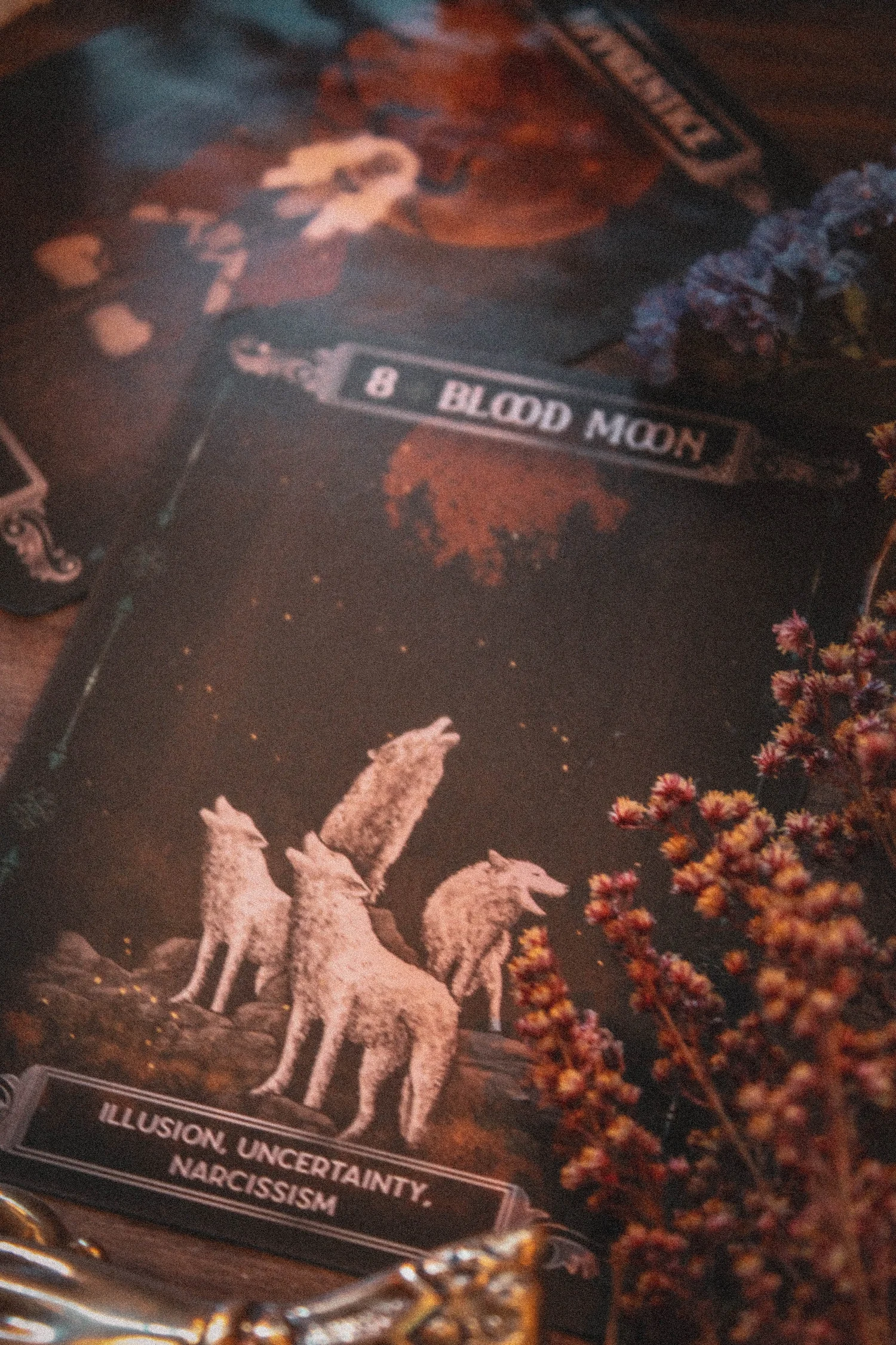 Earth And Bone Oracle Review — Spirit Element