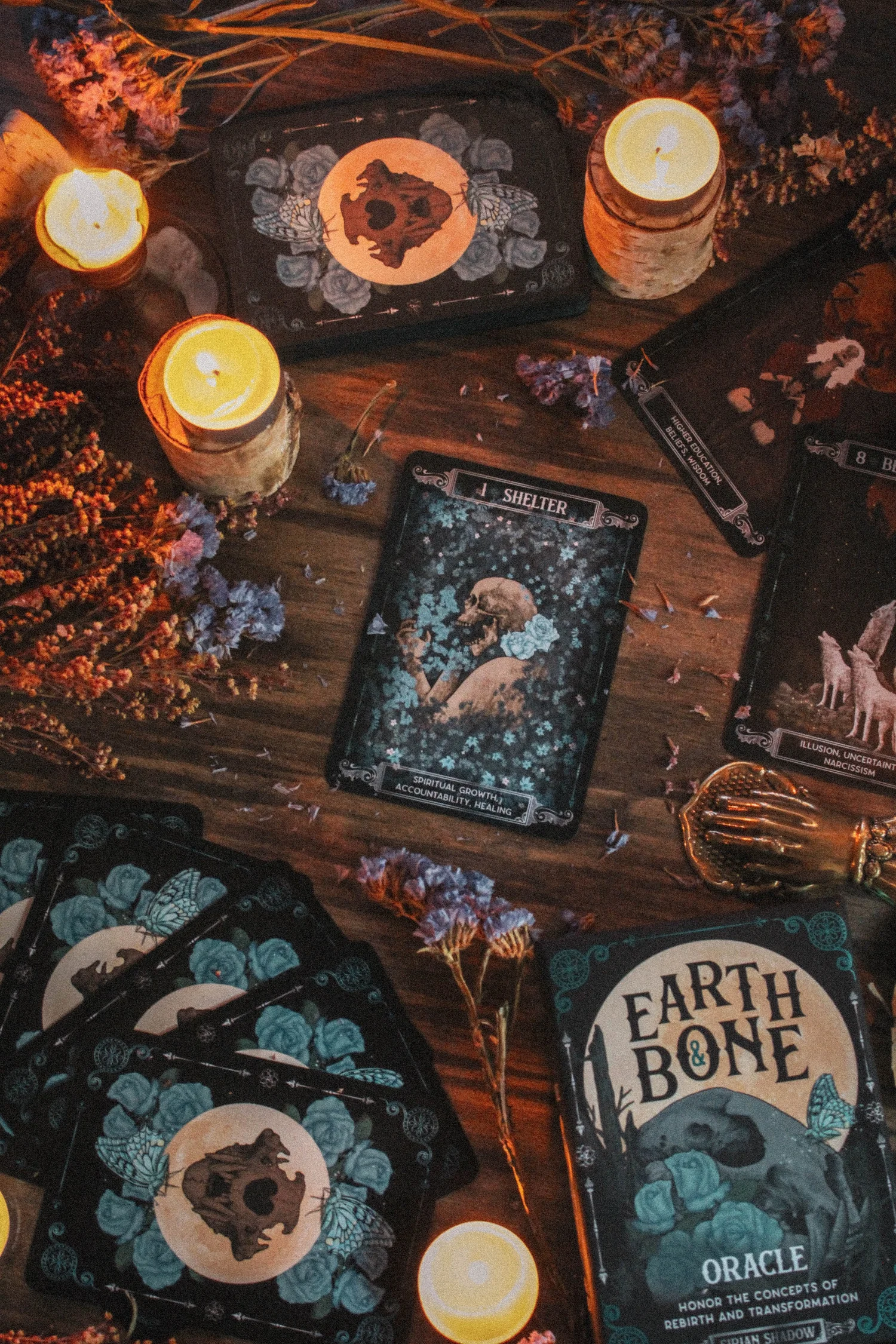 Earth And Bone Oracle Review — Spirit Element