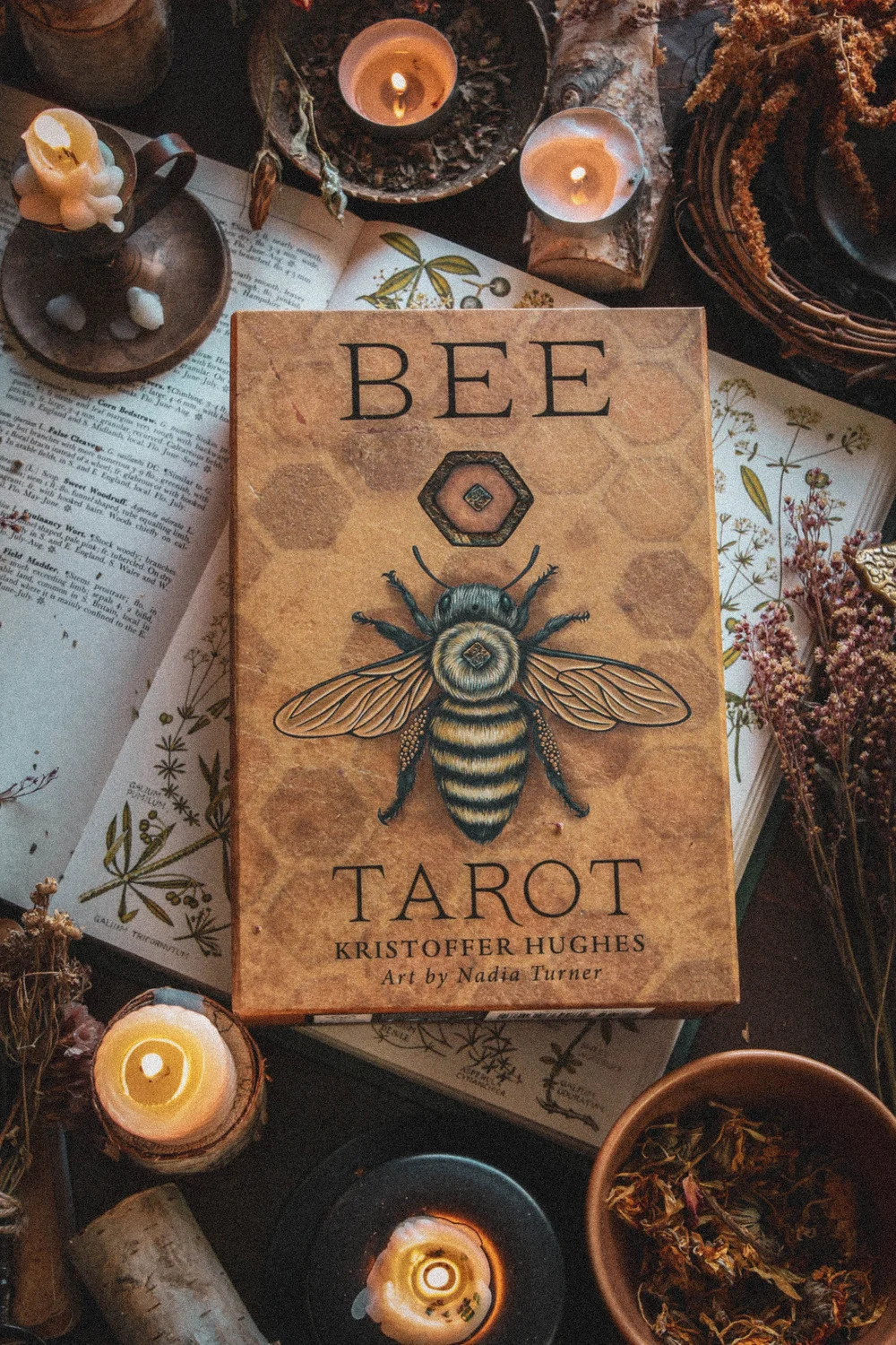 Bee Tarot Review — Spirit Element