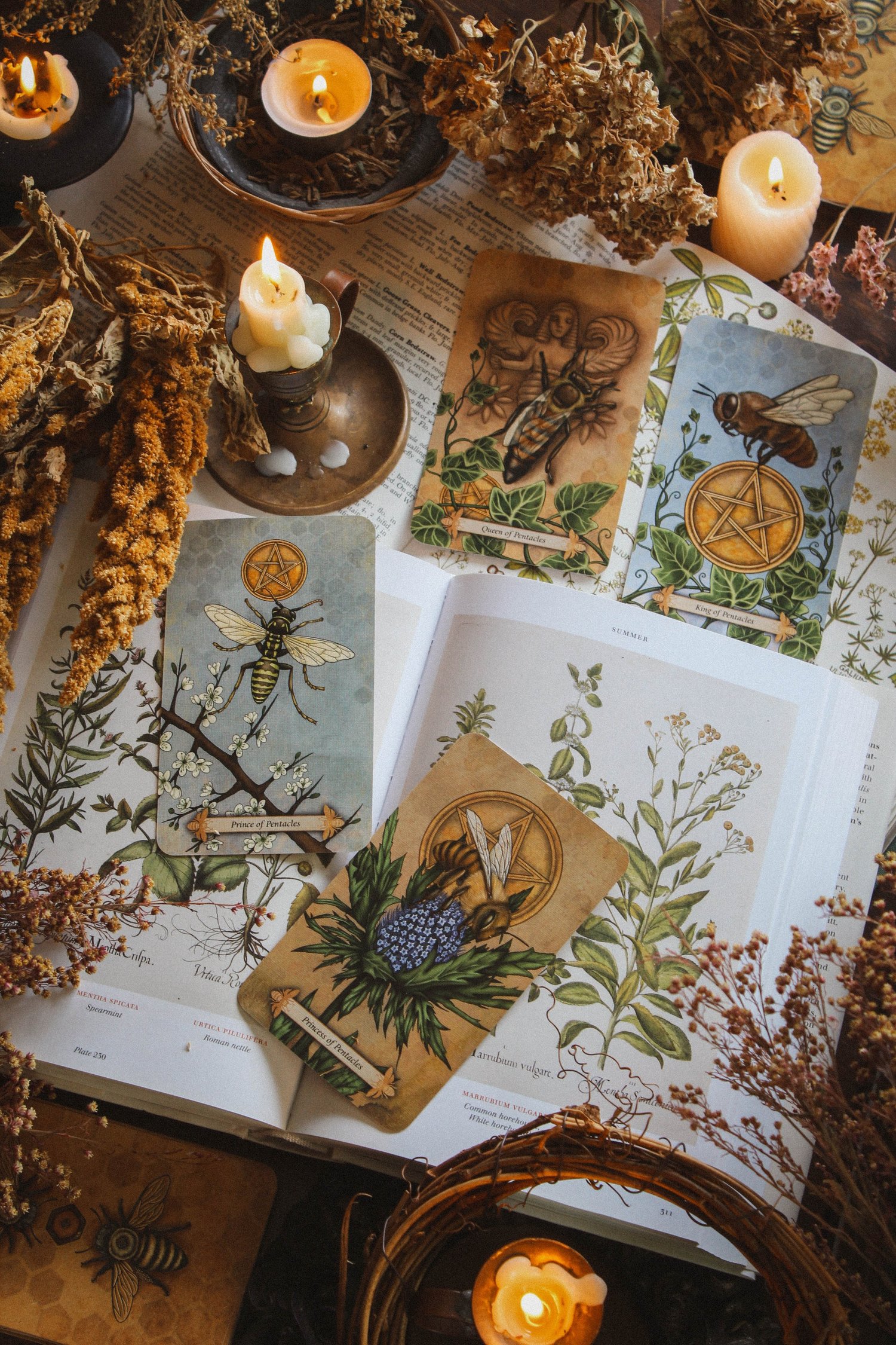 Bee Tarot Review — Spirit Element