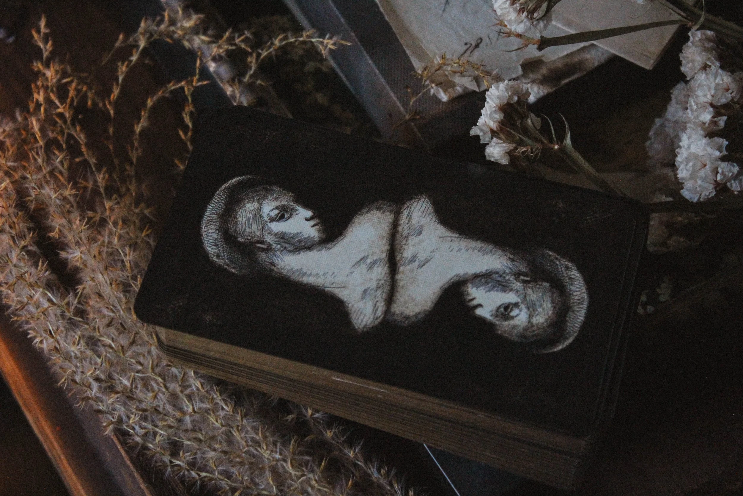 Tarot Chimera Review — Spirit Element