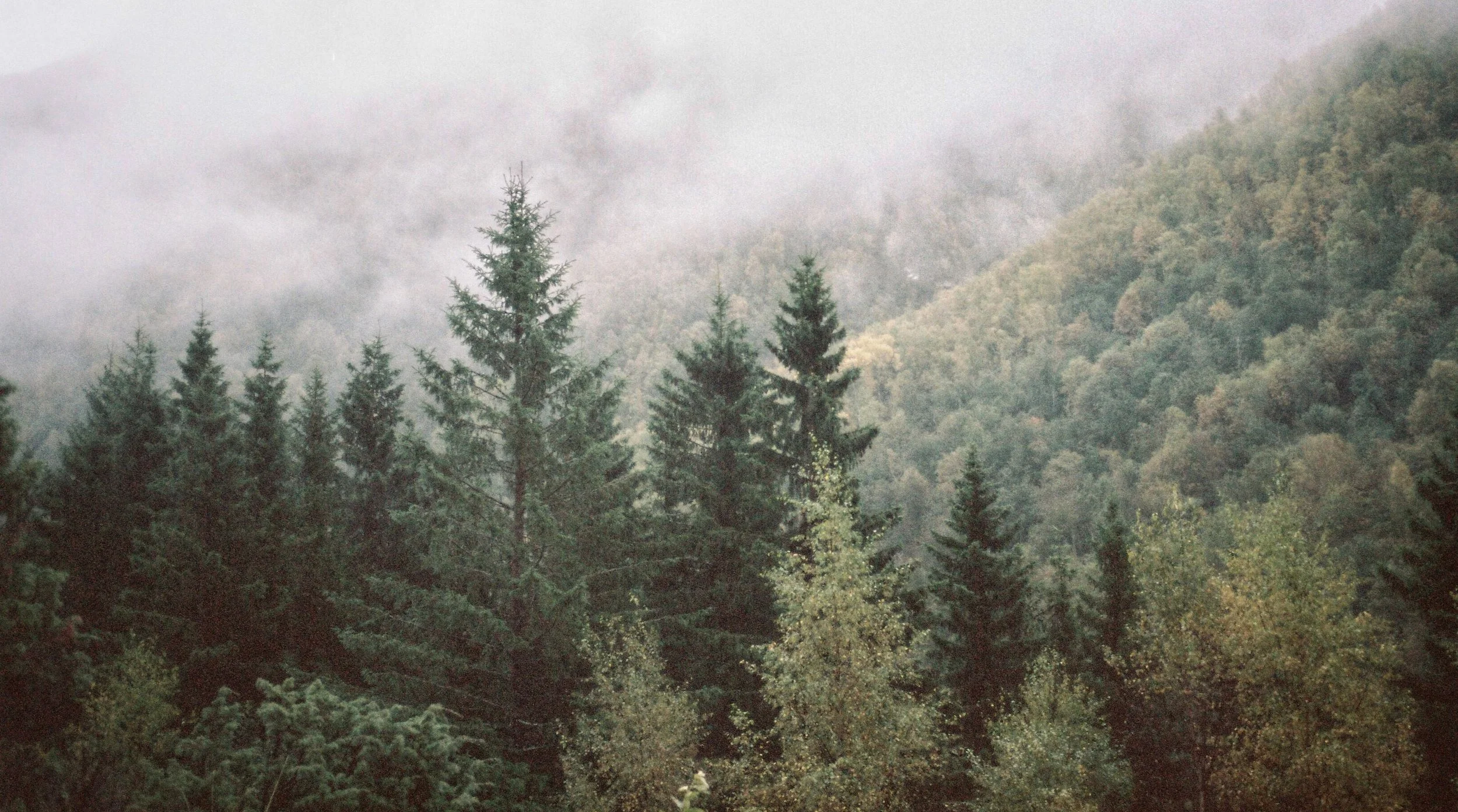 Accessory Craft Projects — Spruce & Fjell