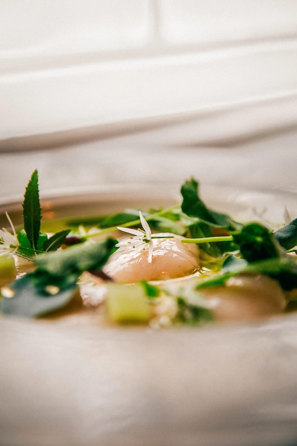 THE ACTON AT MORVILLE