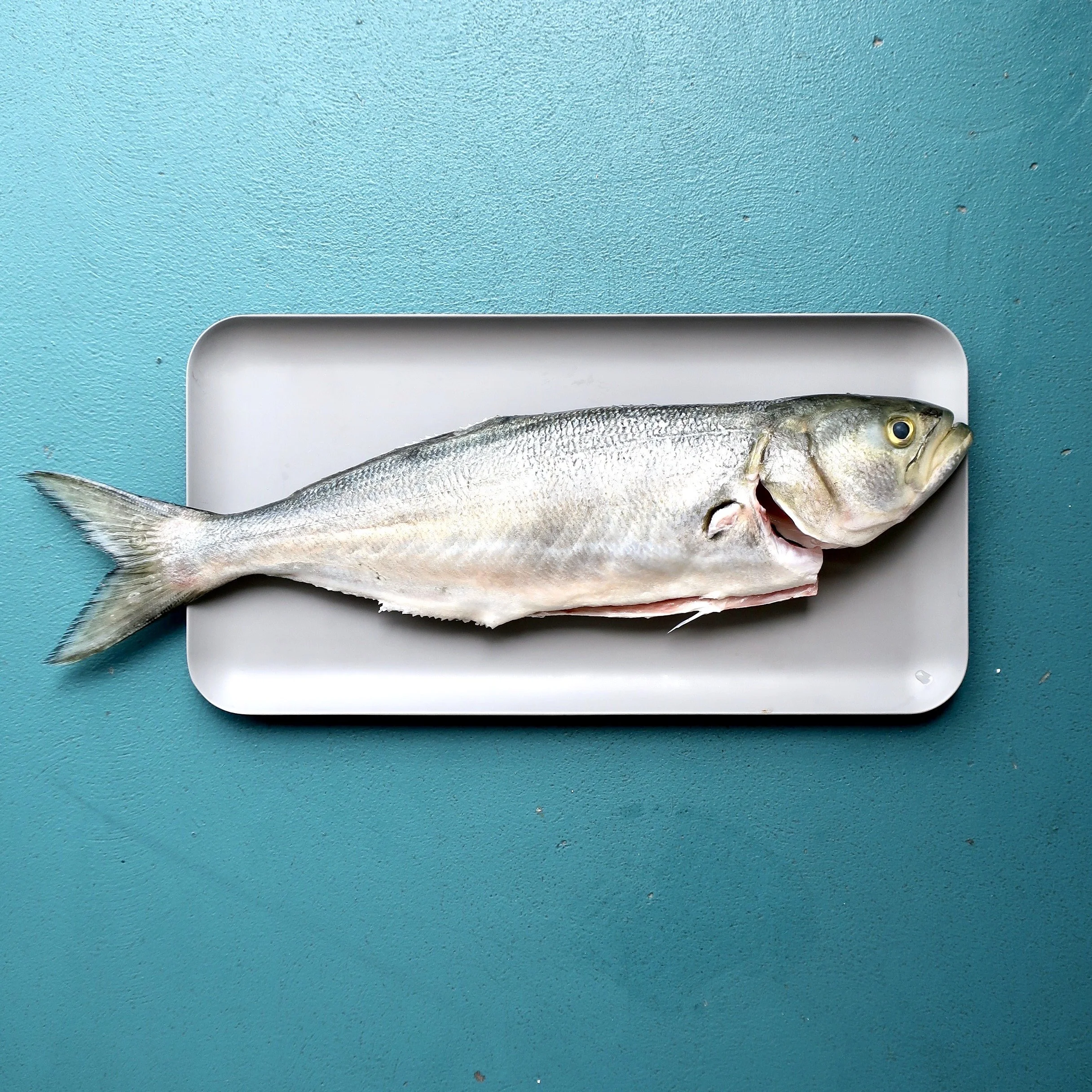 HOW TO COOK FISH — FEARLESS FISH MARKET