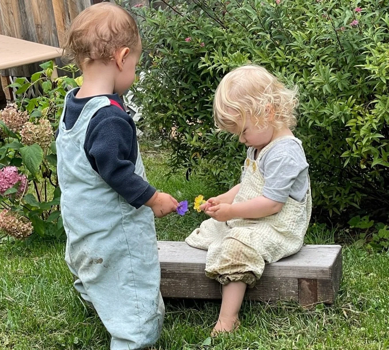Curriculum | See What Your Child Will Learn! — The Cottage Garden