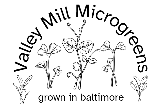 About — Valley Mill Microgreens