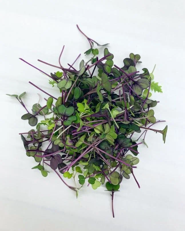 Our Greens — Valley Mill Microgreens