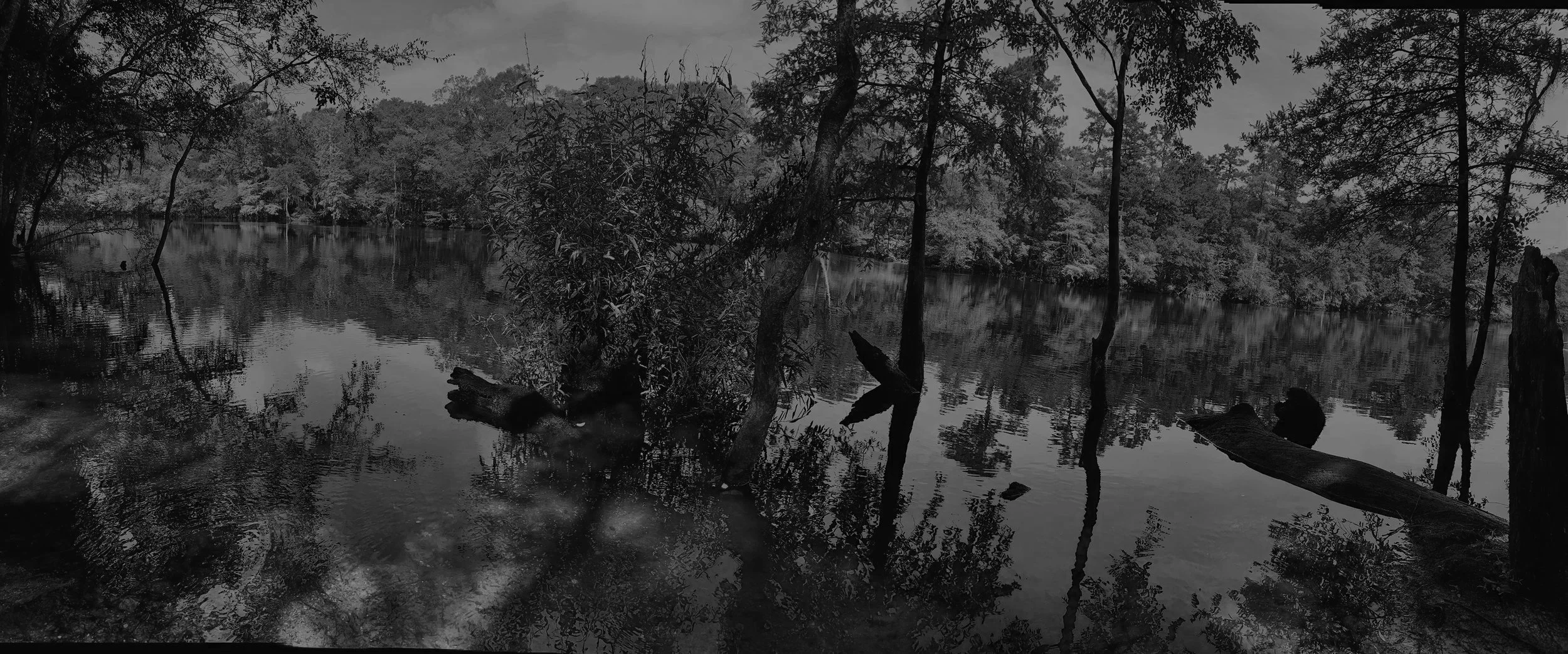 Carson Faust | Writer