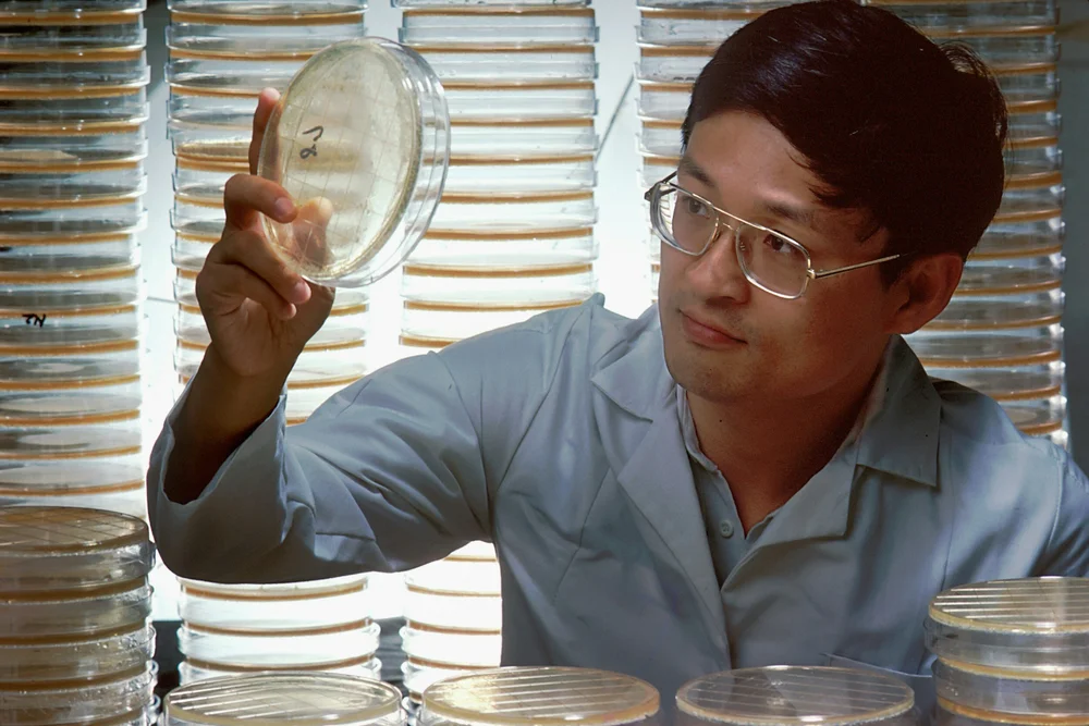 Ryza's Mycopedia - Agar | Ryza