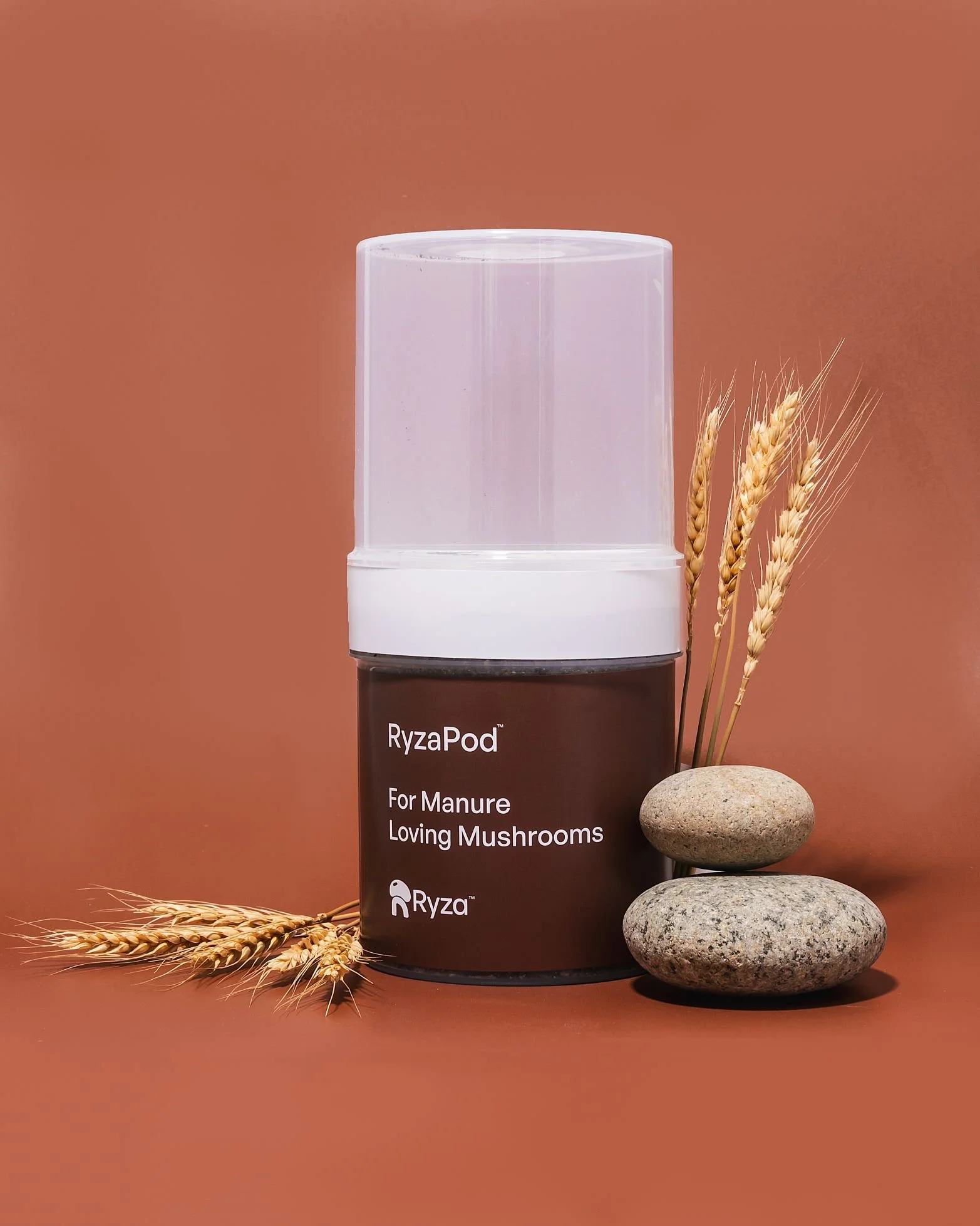 Ryza - Mushroom Growing Kits for Home | All-In-One Mushroom Grow Kits