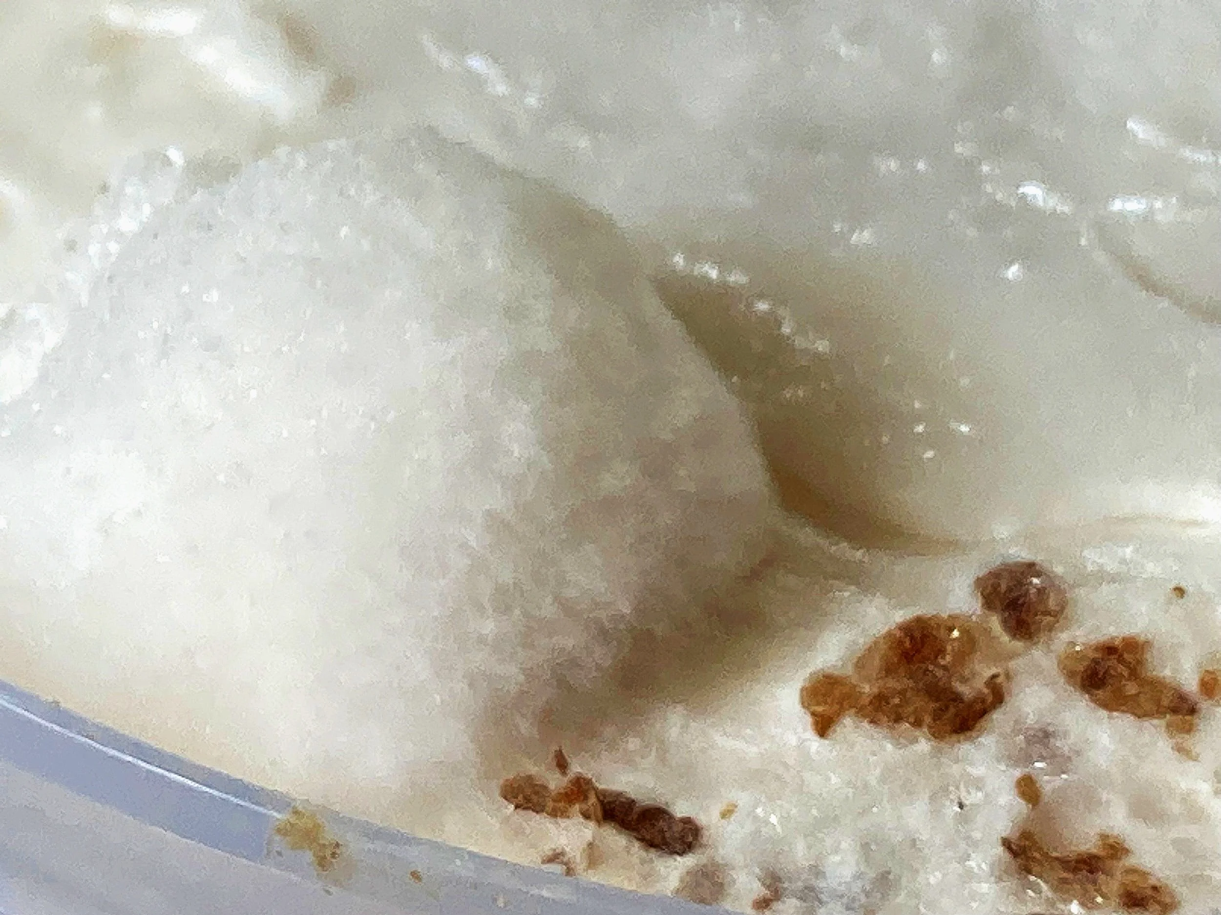 Ryza's Mycopedia - Tomentose Mycelium | Ryza