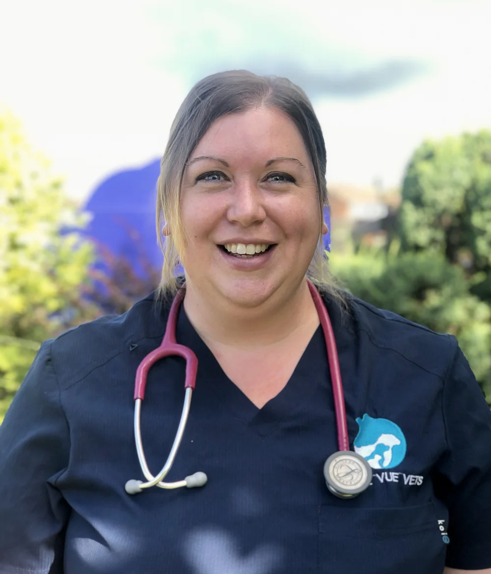Meet the Team — Belle Vue Vets
