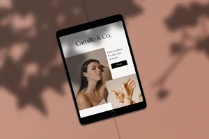 Work — Camille & Co. — Darcy Lane