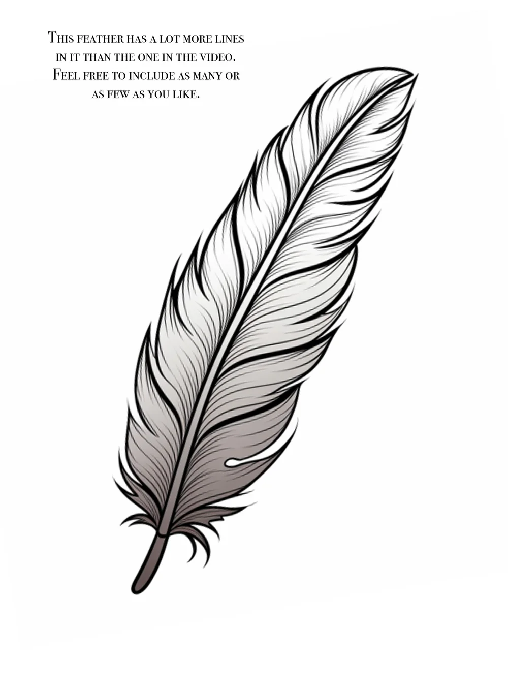 Store — Daniel Reach Creations