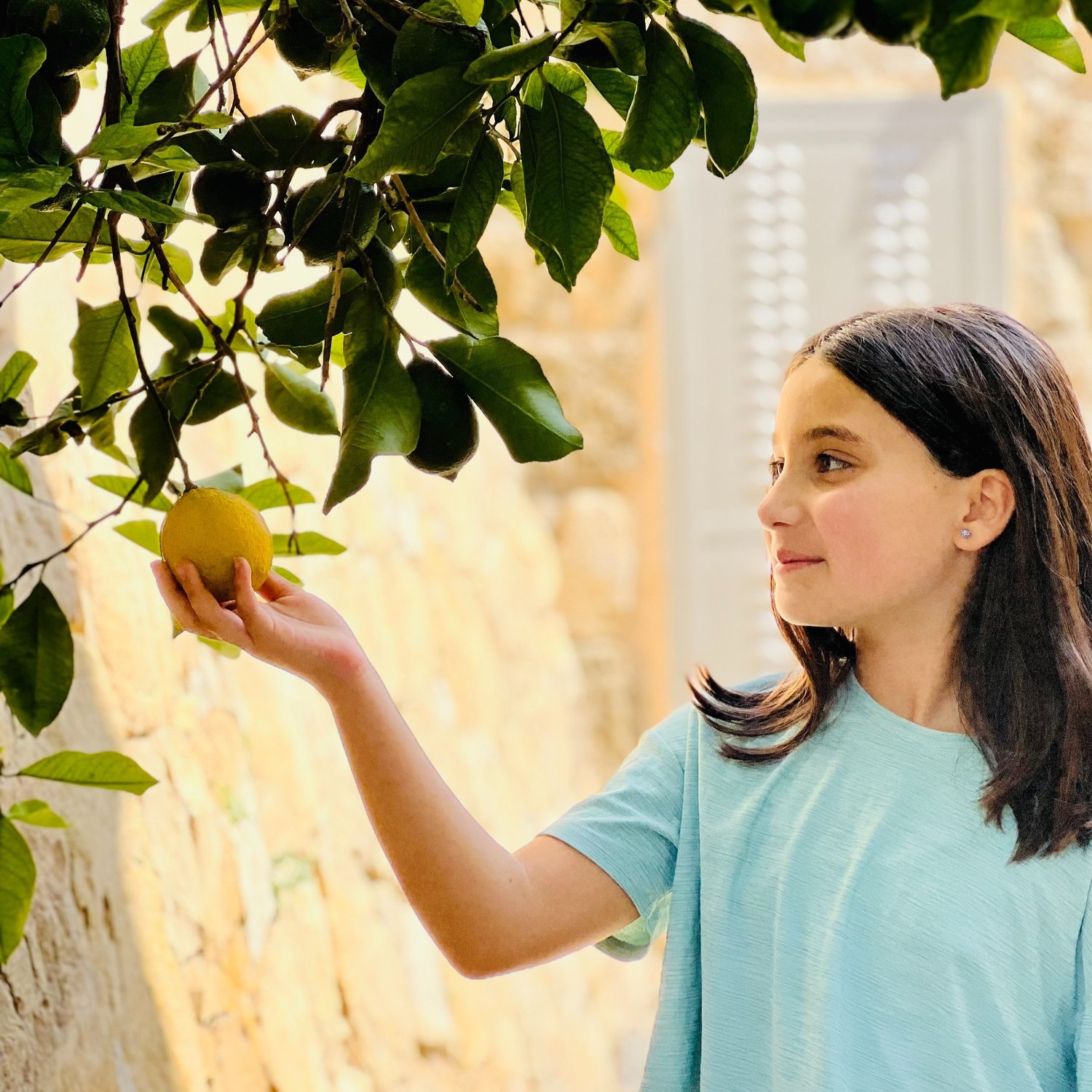 Seraj Library Project