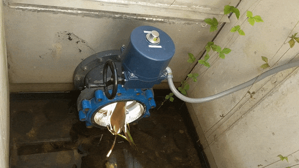 Digital Water Lab @ U-M