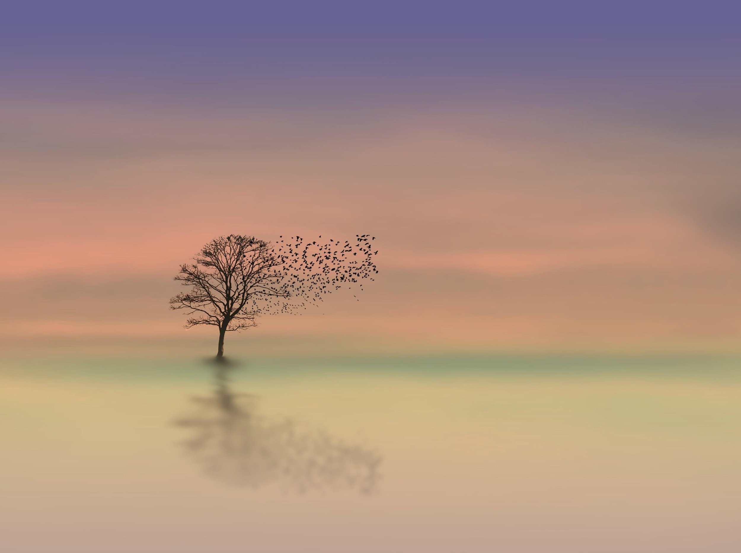 Roots and Wings Grief and Loss Coaching