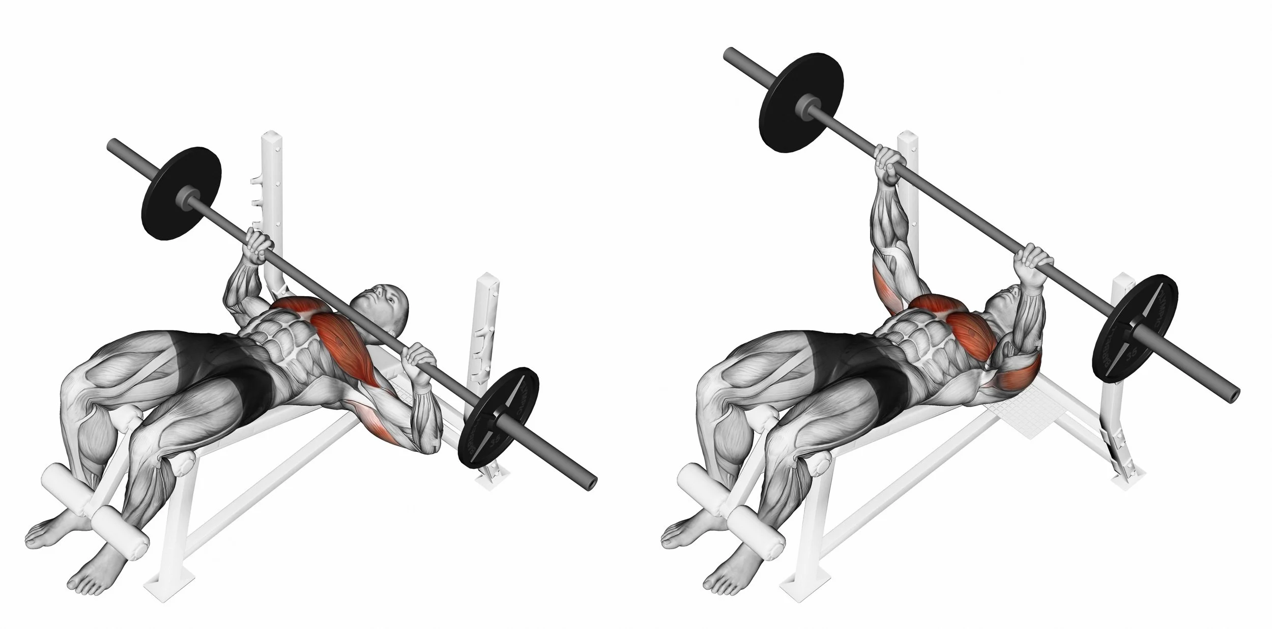 Using a Golfer’s Lift, Tips for Bench Press, National Athletic Training ...