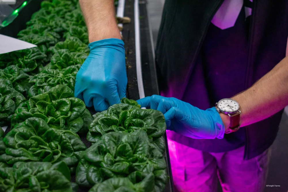 farm-a-leaf | Honesty, Dependability & Stewardship | Vertically Grown ...