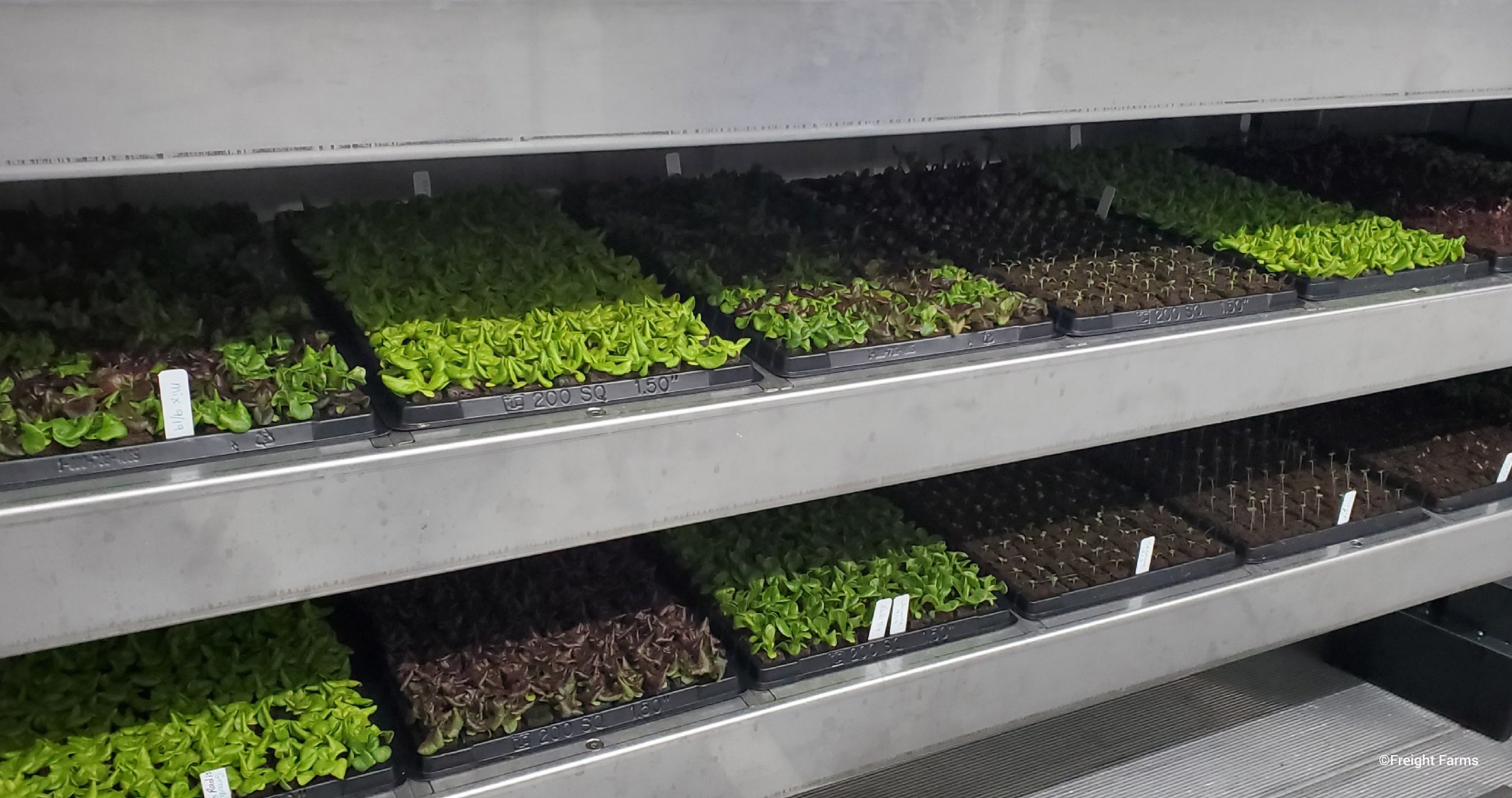About — farm-a-leaf