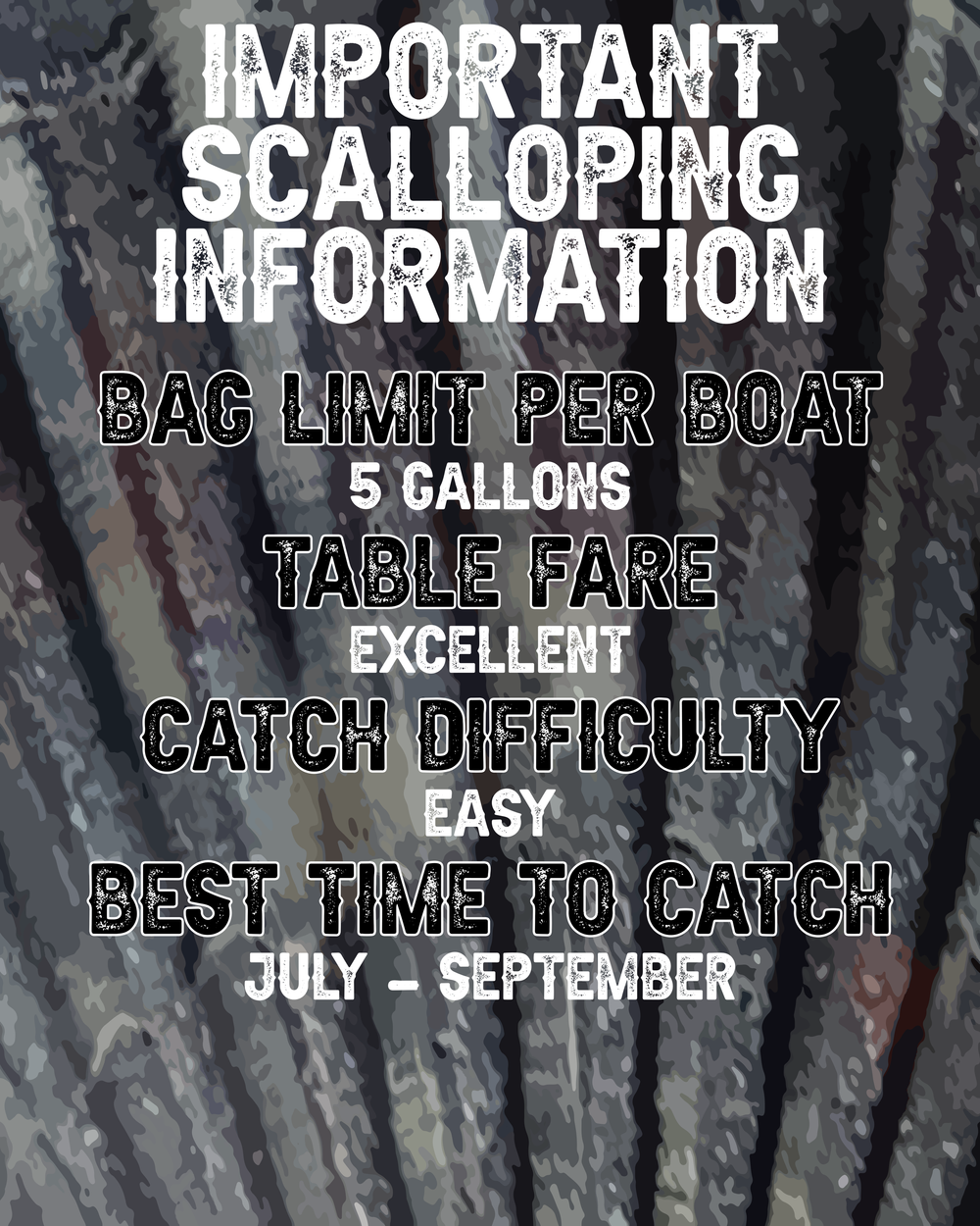 Crystal River Scalloping Charters — Crystal River Fishing Pros