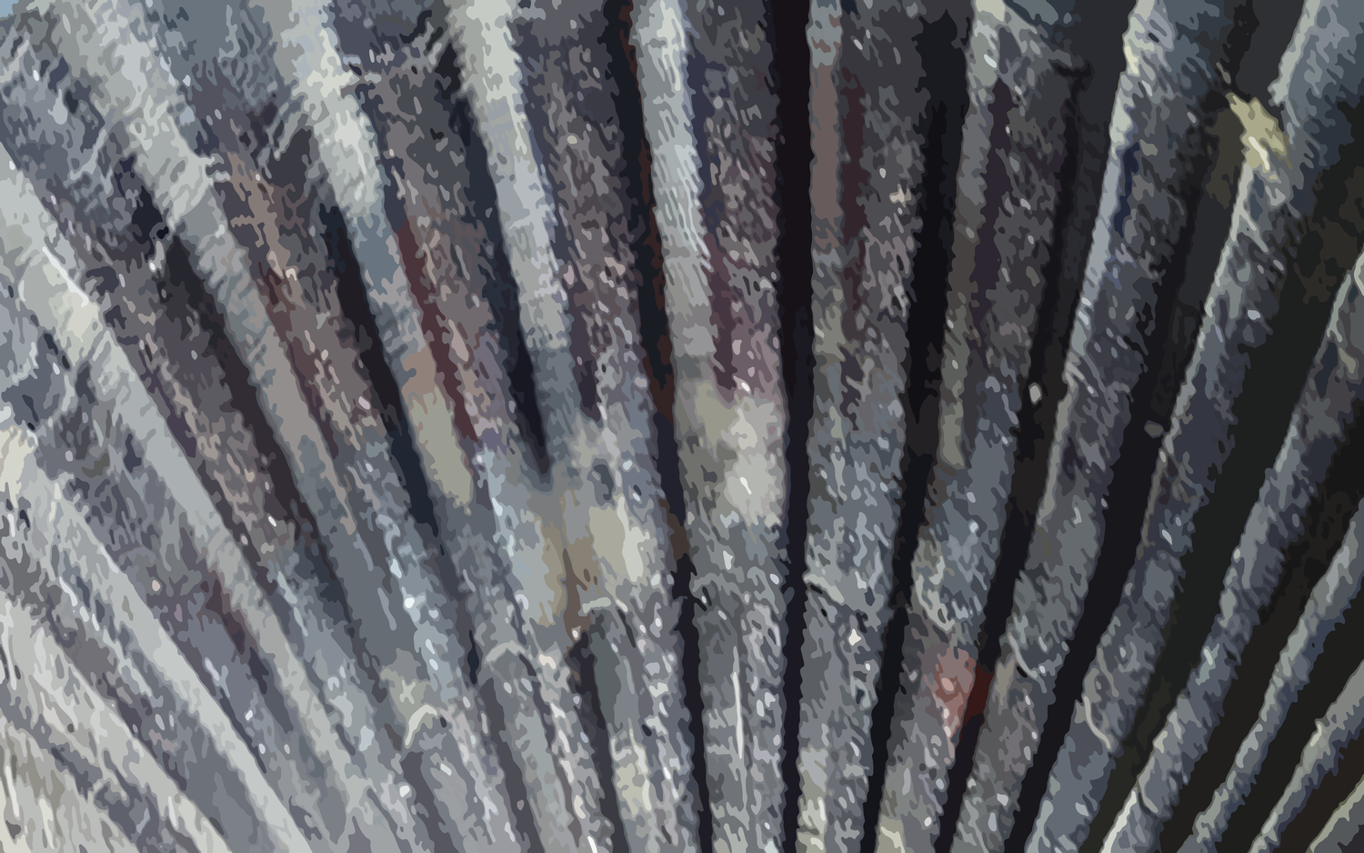 Crystal River Scalloping Charters — Crystal River Fishing Pros