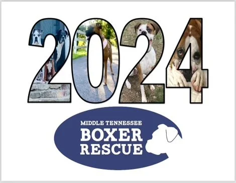 Shop — MTBR Rescue