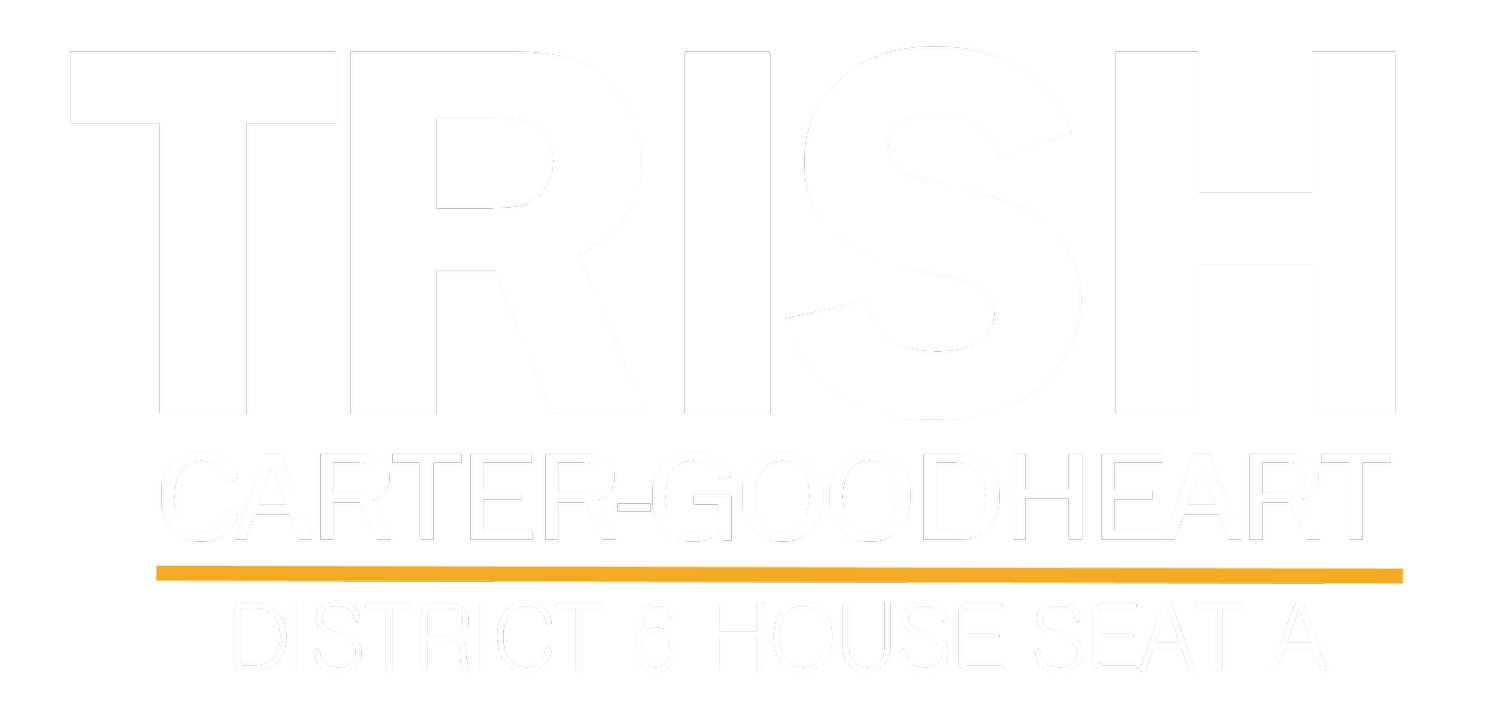 Trish Carter-Goodheart for Idaho District 6 | Native Woman Leading for ...