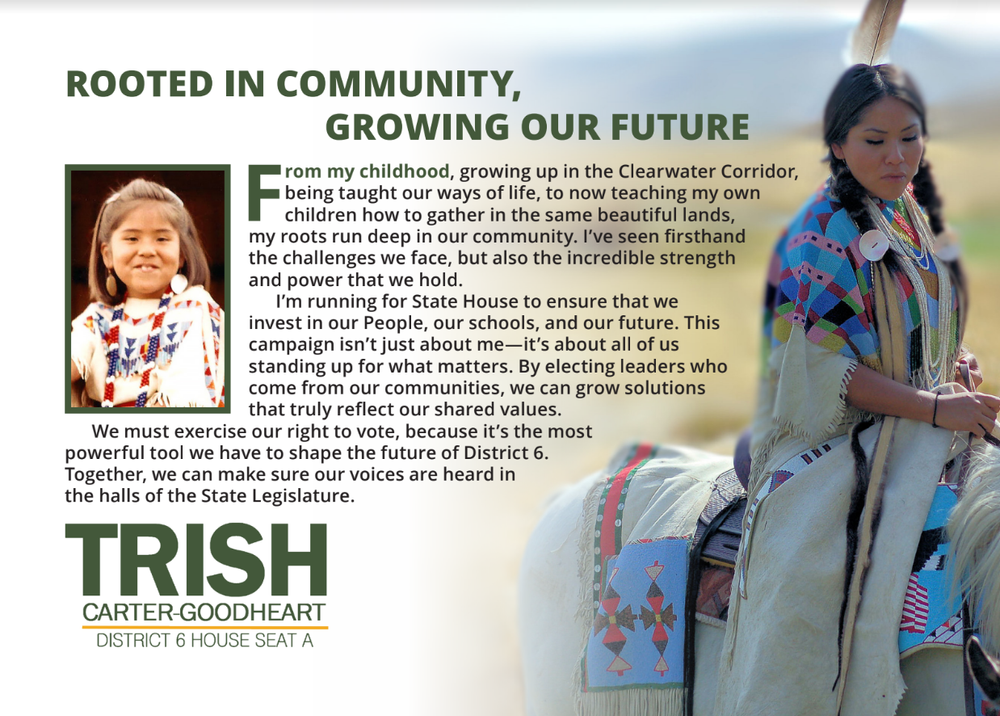 Trish Carter-Goodheart for Idaho District 6 | Native Woman Leading for ...