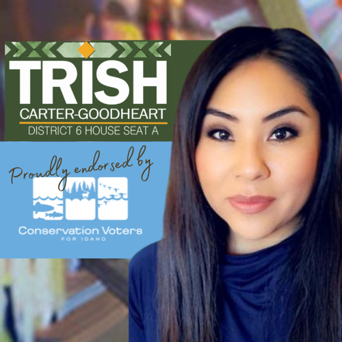 Trish Carter-Goodheart for Idaho District 6 | Native Woman Leading for ...