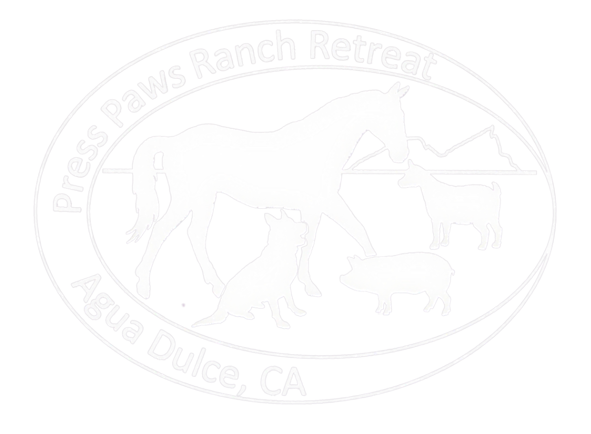 Press Paws Ranch Retreat